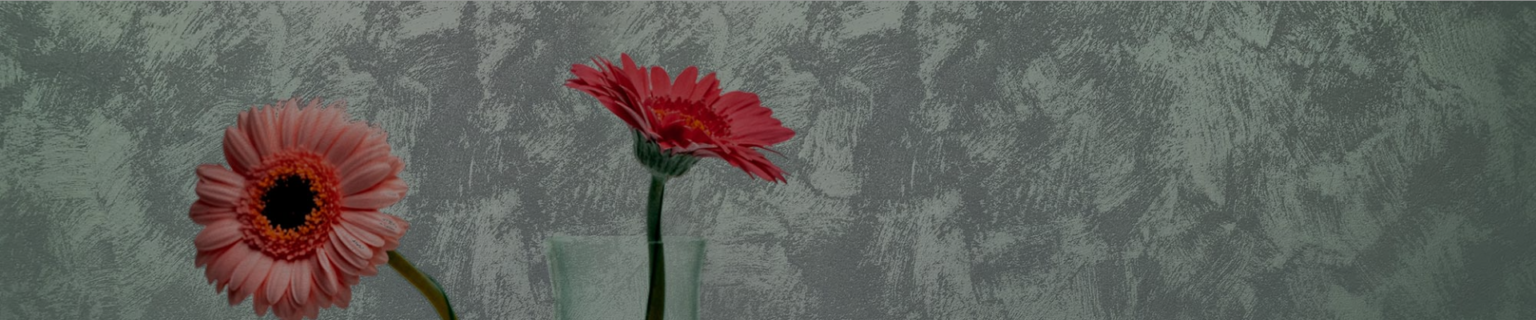 ABOUT | SPIVER JAPAN